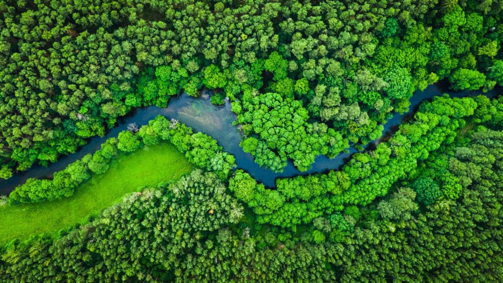 Sustainable Success: Encevo's Journey with ARIS Process Mining - ARIS