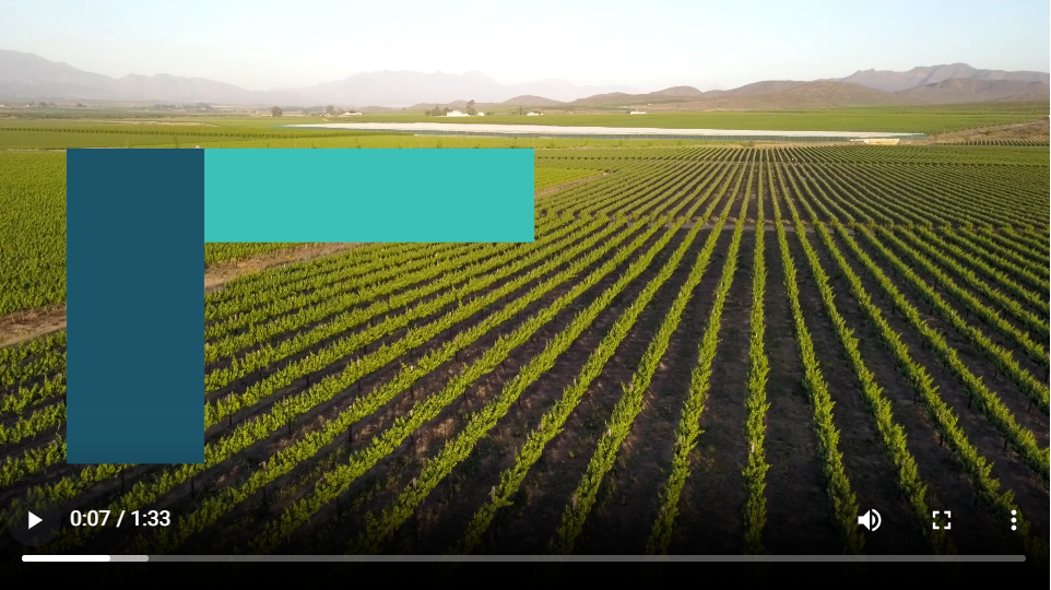 ARIS for sustainability video | Green BPM - ARIS